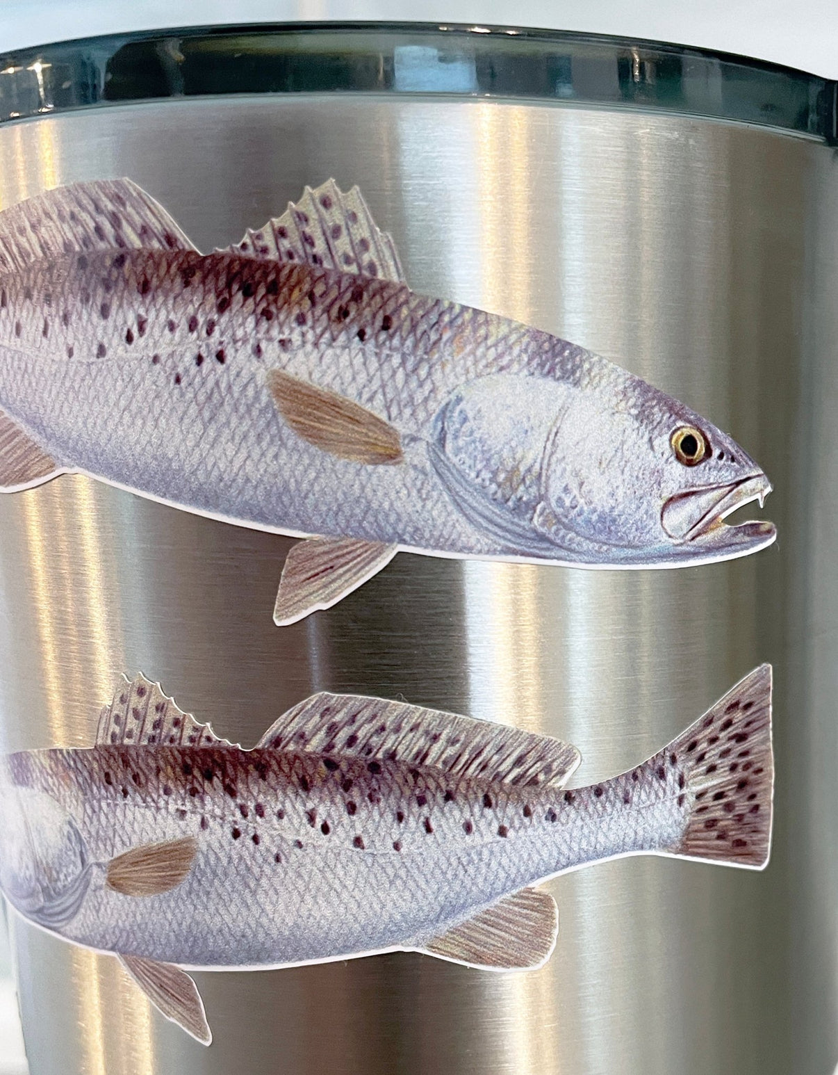 Qty. 2 Speckled Trout Decals Stickers Mini YETI Cup Decals – Skiff Life