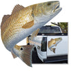 Redfish Decal Red Hot – Skiff Life
