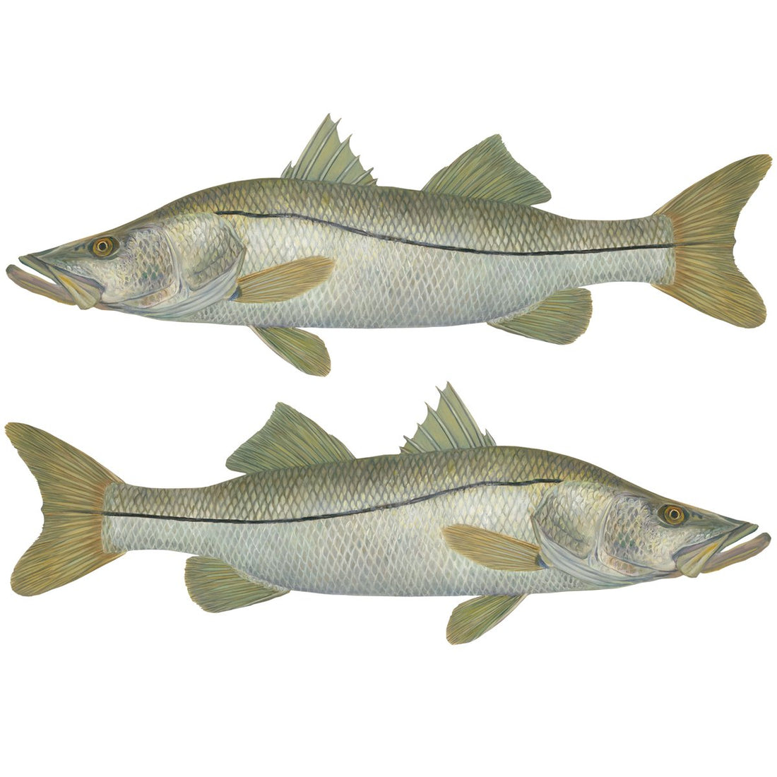 Snook Decal Fishing Sticker Mini – Skiff Life