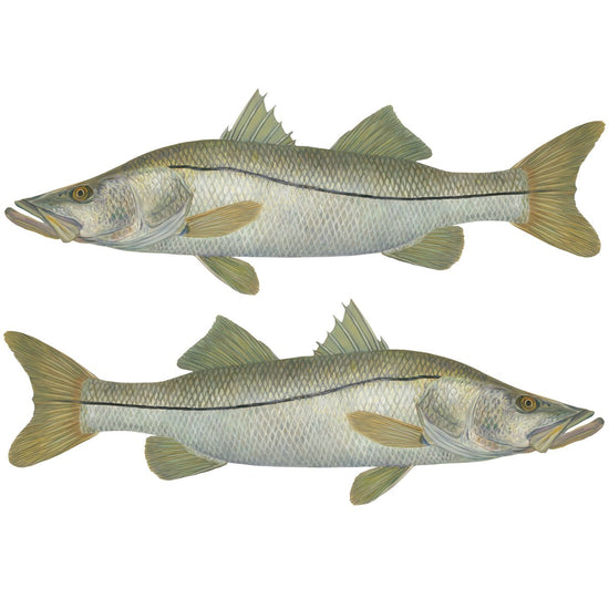 Snook Decal Fishing Sticker Mini – Skiff Life