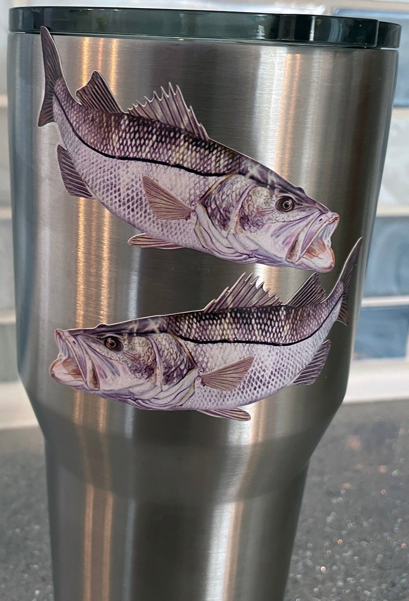 Snook Mangrove Monster Mini Fish Stickers – Skiff Life