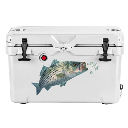 Striper Decal with Baitfish UV-Protected Vinyl Sticker for Cars, Truck ...